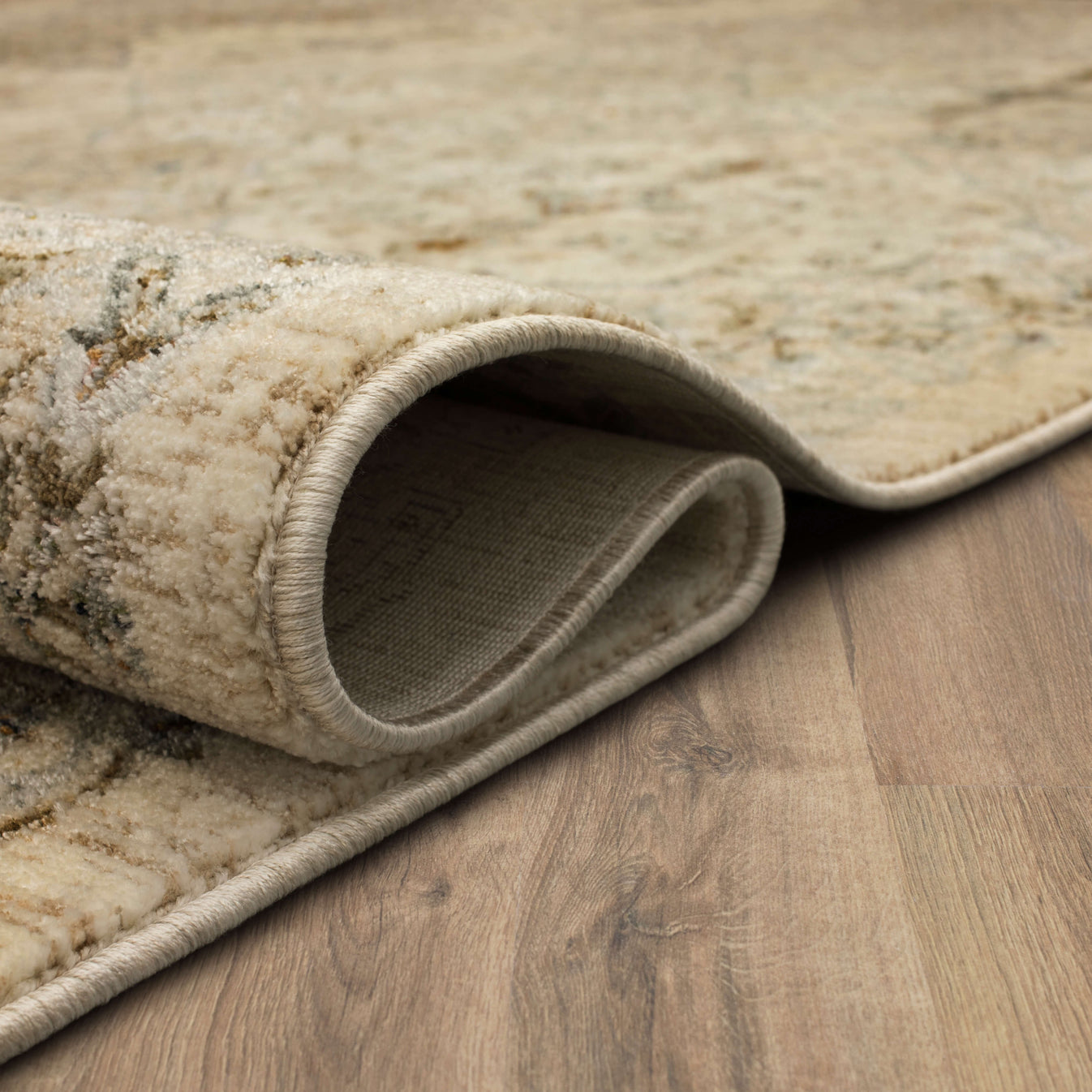 Divina Gloriana Cream – Karastan Rugs